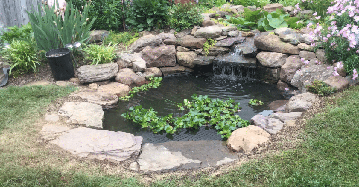 Winter Ready Pond Maintenance | Riverside Tree & Landscaping