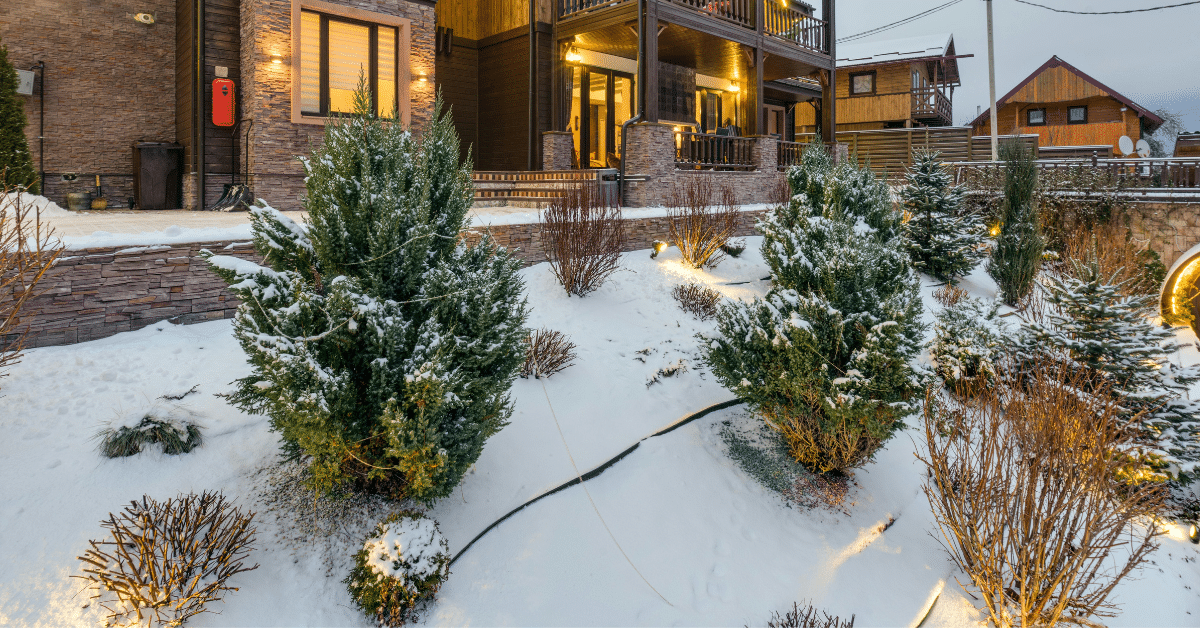 How to Protect Plants from Snow | Riverview Tree & Landscaping
